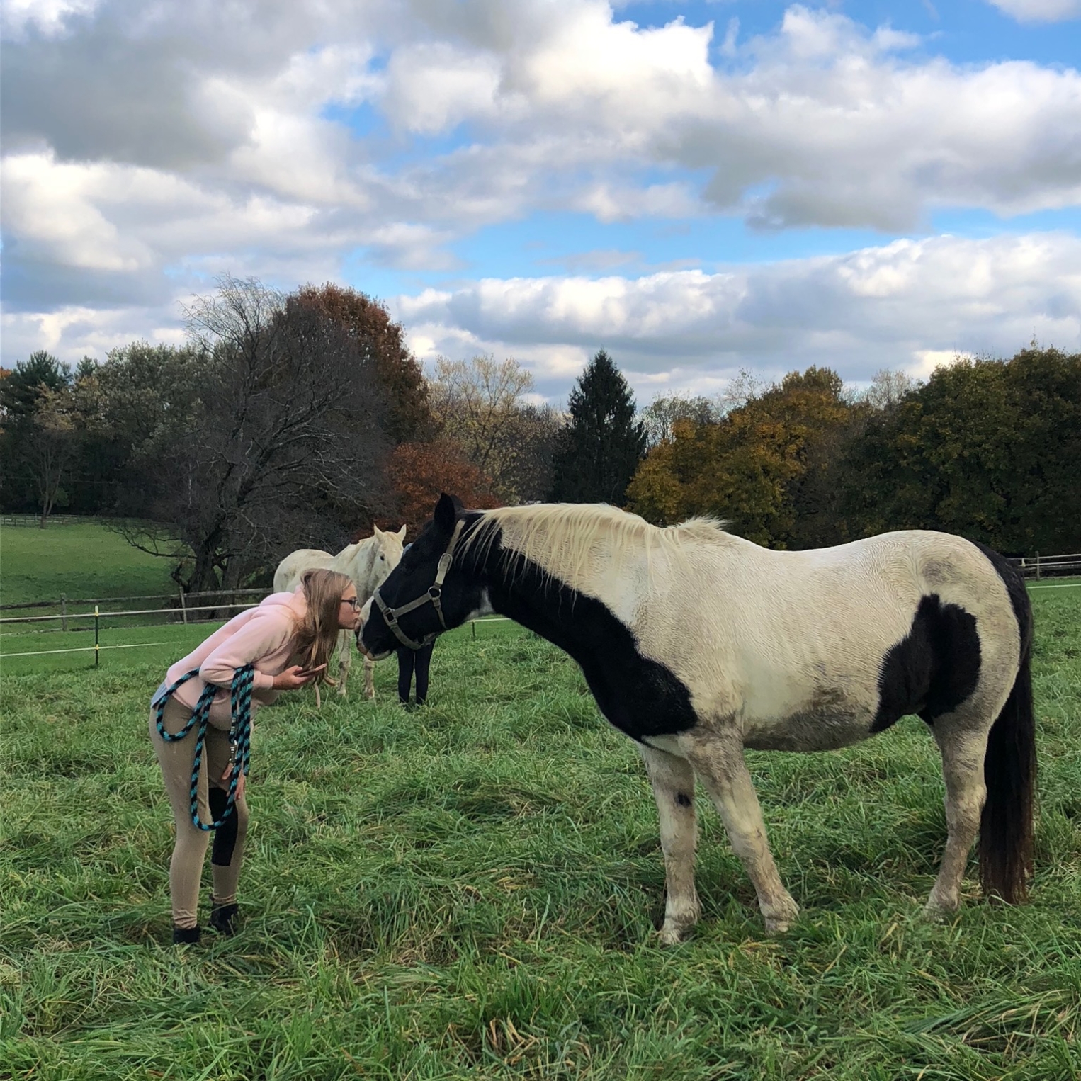 The Stable - The Creative Cabin