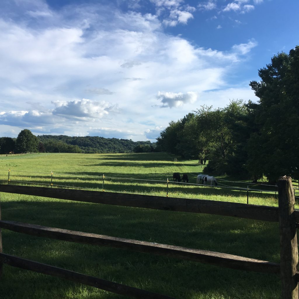 The Stable - The Creative Cabin