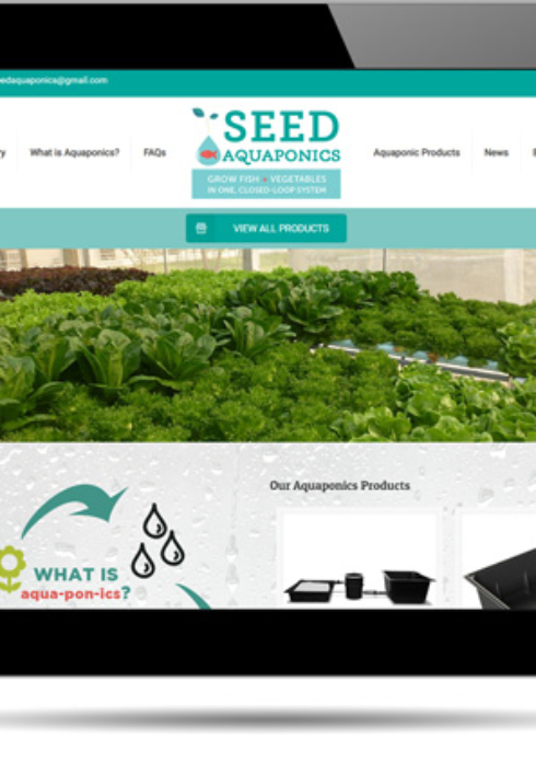 Portfolio - The Creative Cabin